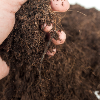 A Soil-ution: Sustainable Solutions for Healthier Soil – ONE ORGANIC - UK